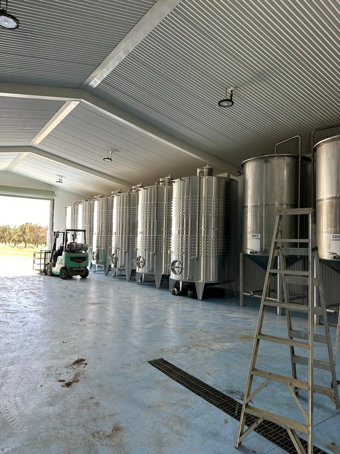 Apple Cider Fermentation: Timelines, Processes & Equipment Solutions ...