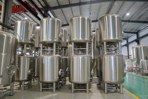 What Does IBU Mean in Beer? | Bitterness Unit Guide - CHENMA