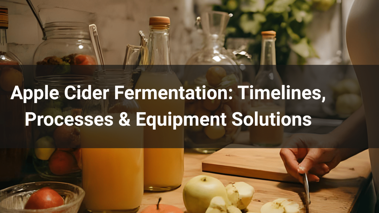 Fermentación de sidra de manzana: cronogramas, procesos y soluciones de ...