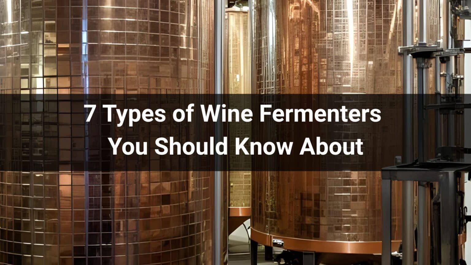 7 Types of Wine Fermenters You Should Know About - CHENMA
